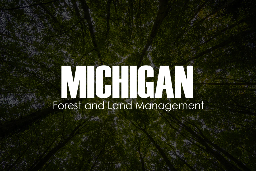 Logging Company Oakley, MI | Free Timber Evaluation